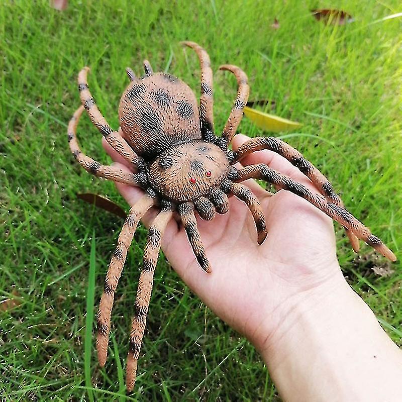 Insect Simulation Model Toys Simulation Wildlife Model Ornaments Creepy ...