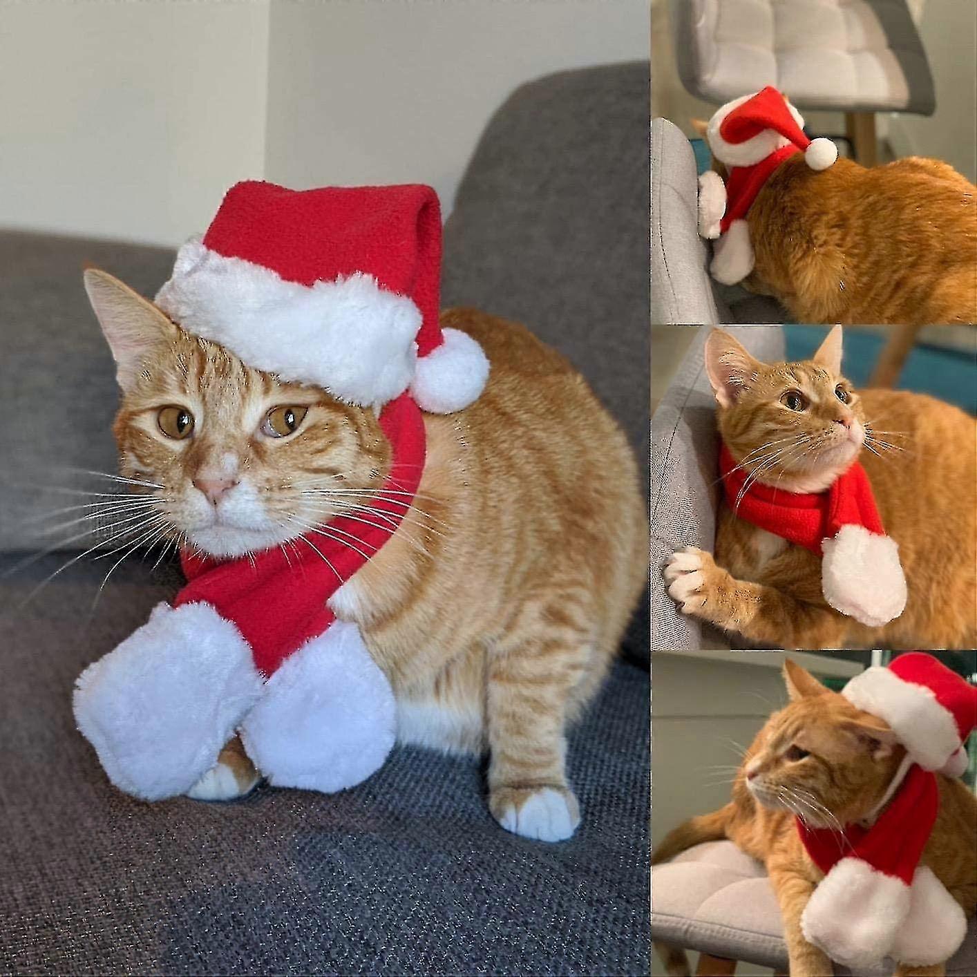 Cat Santa Hat With Scarf -christmas Costume Set Puppy Dog Cat Santa Hat ...