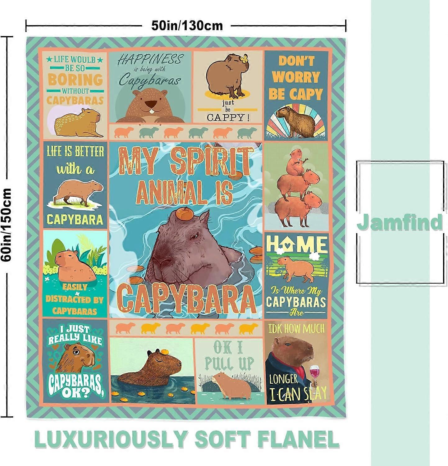 Capybara Blanket, Capybara Gifts, Capybara Stuff for Capybara Lovers ...