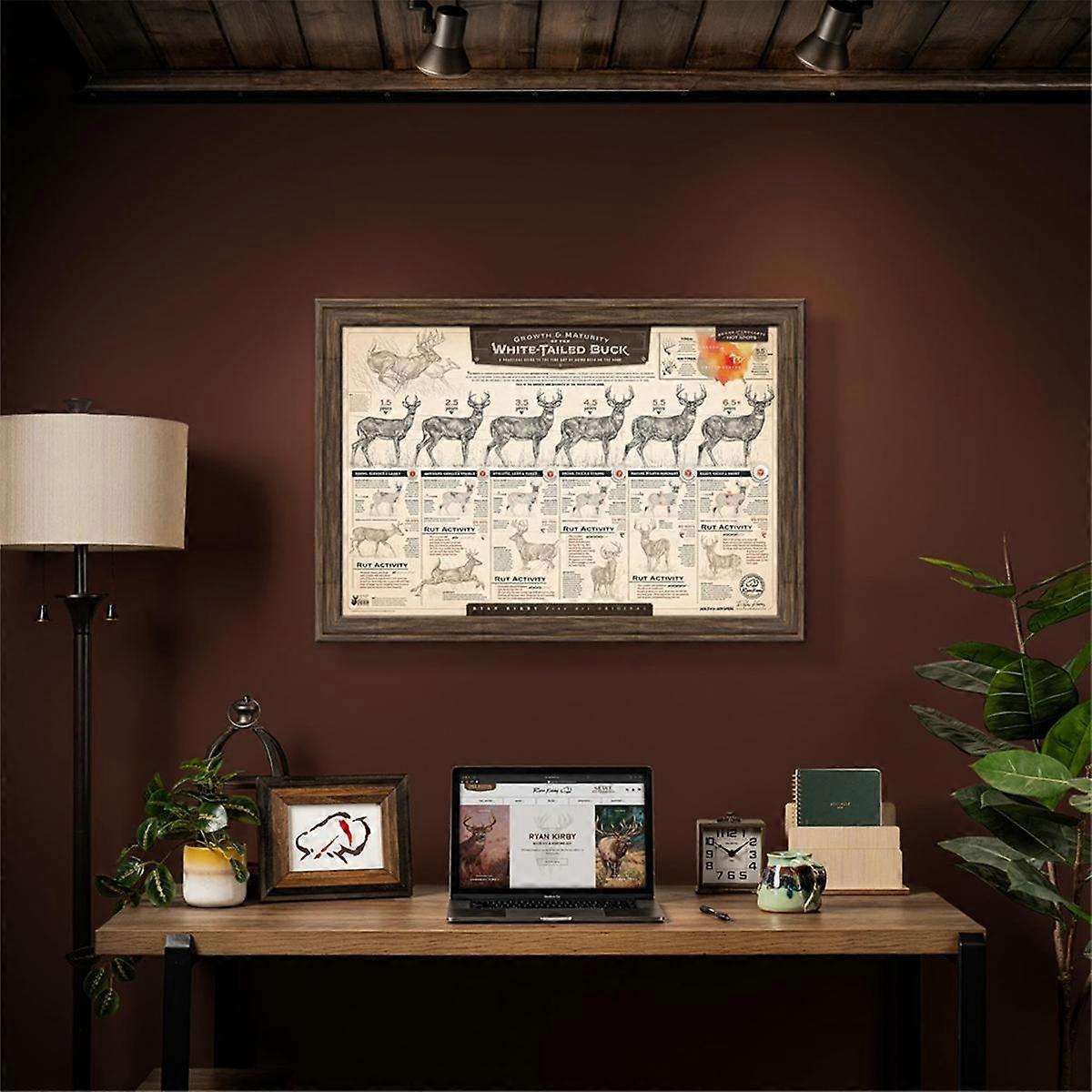 "The Growth and Maturity of the White-Tailed Buck" Paper Print C ...