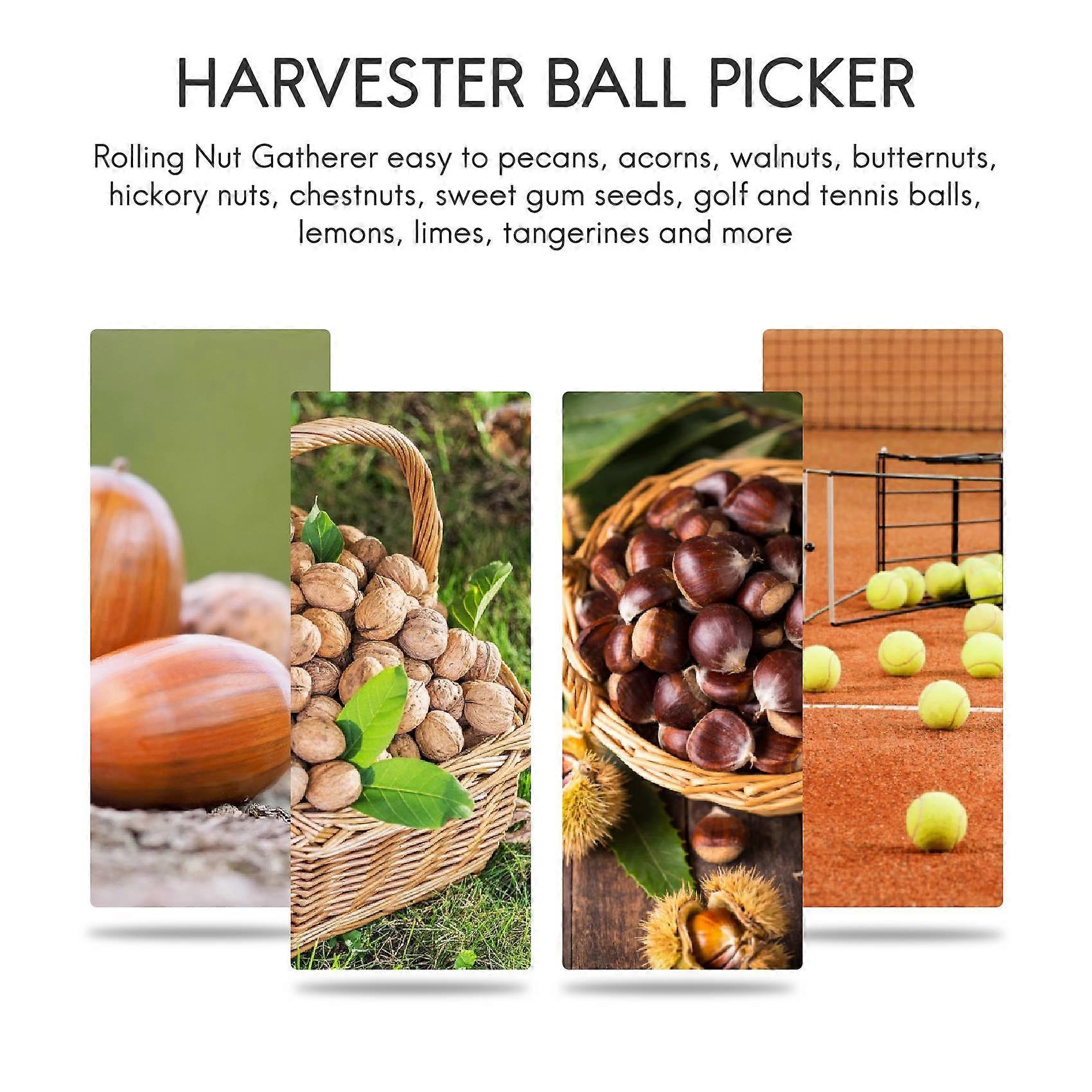 Rolling Nut Ball Picker Stainless Steel Adjustable Nut Gatherer ...