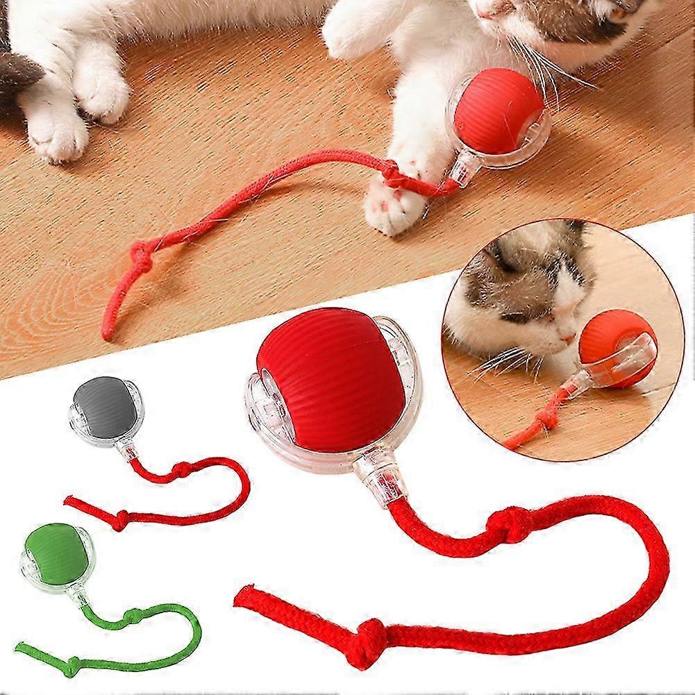 Interactive Gray Rolling Ball for Dogs and Cats, Automatic Pet Toy for ...