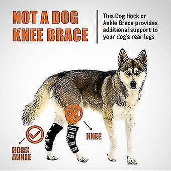 Dog Rear Leg Brace - Canine Hock Joint Support for Injury Sprain ...