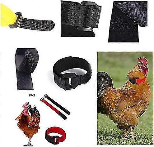 Chicken Collar Anti hook rooster collar adjustable cock collar Prevent ...