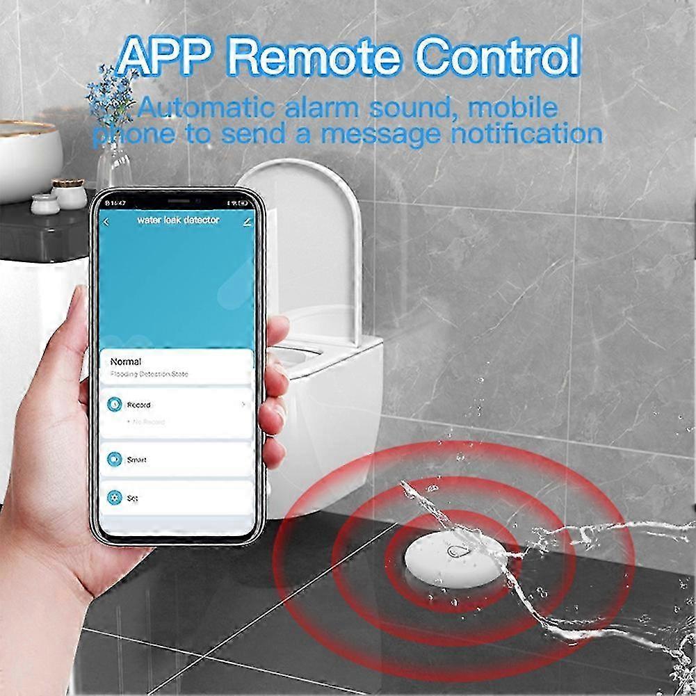 Ip67 Water Immersing Sensor Tuya Zigbee Flood Water Leak Detector Smart ...