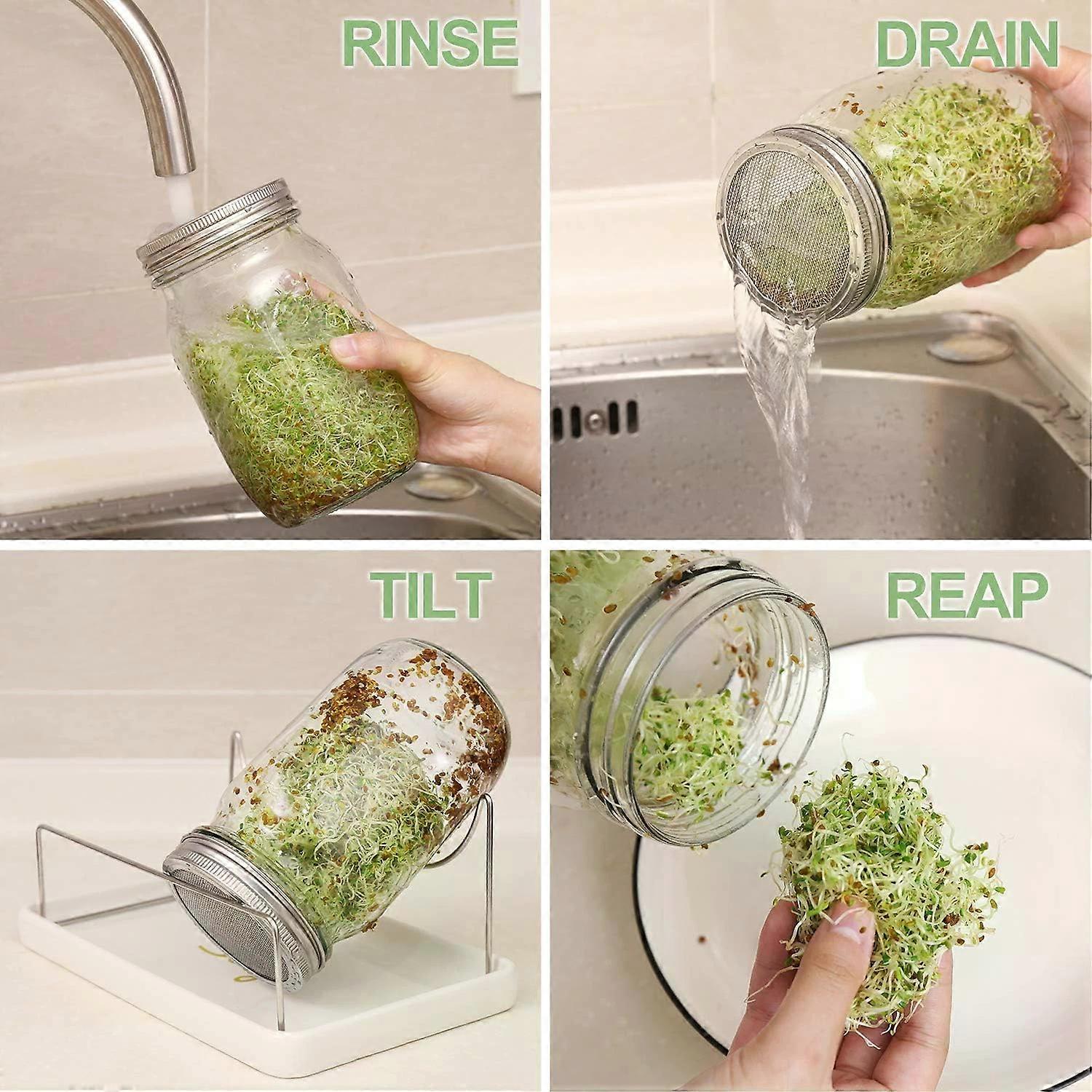 Complete Mason Jar Sprouting Kit, 2 Wide Mouth Quart Jars with 316 ...