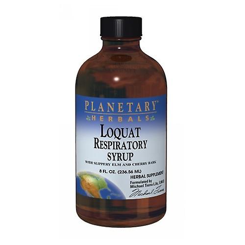 Planetary Herbals Loquat Respiratory Syrup, 8 fl oz (Pack of 1) | Fruugo UK