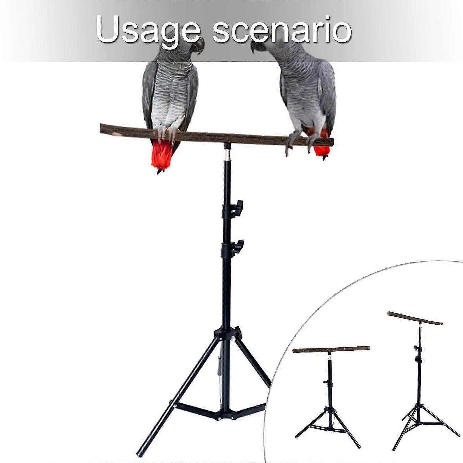 Natural Wood Parrot Training Stand with Retractable Height for Indoor ...