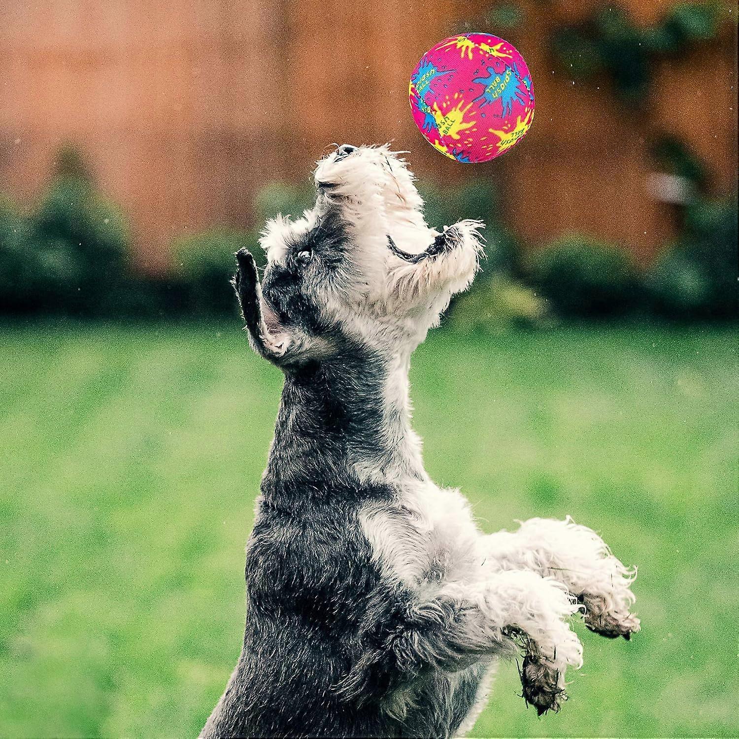 Water Splash Balls for Pools, Summer Beach Soak Games and Fun Kids ...