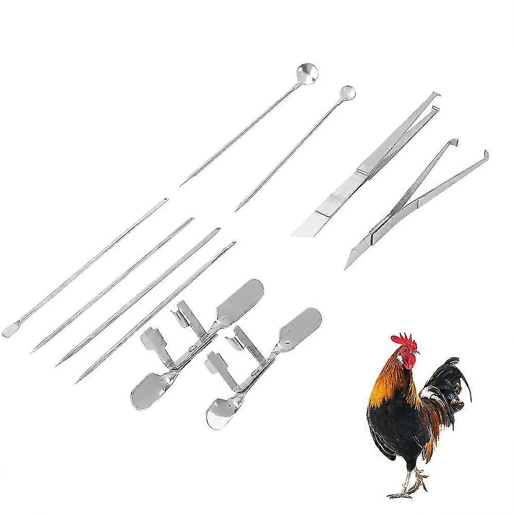 Stainless Steel Farm Livestock Breeding Chicken Hen Rooster Capon Tool ...