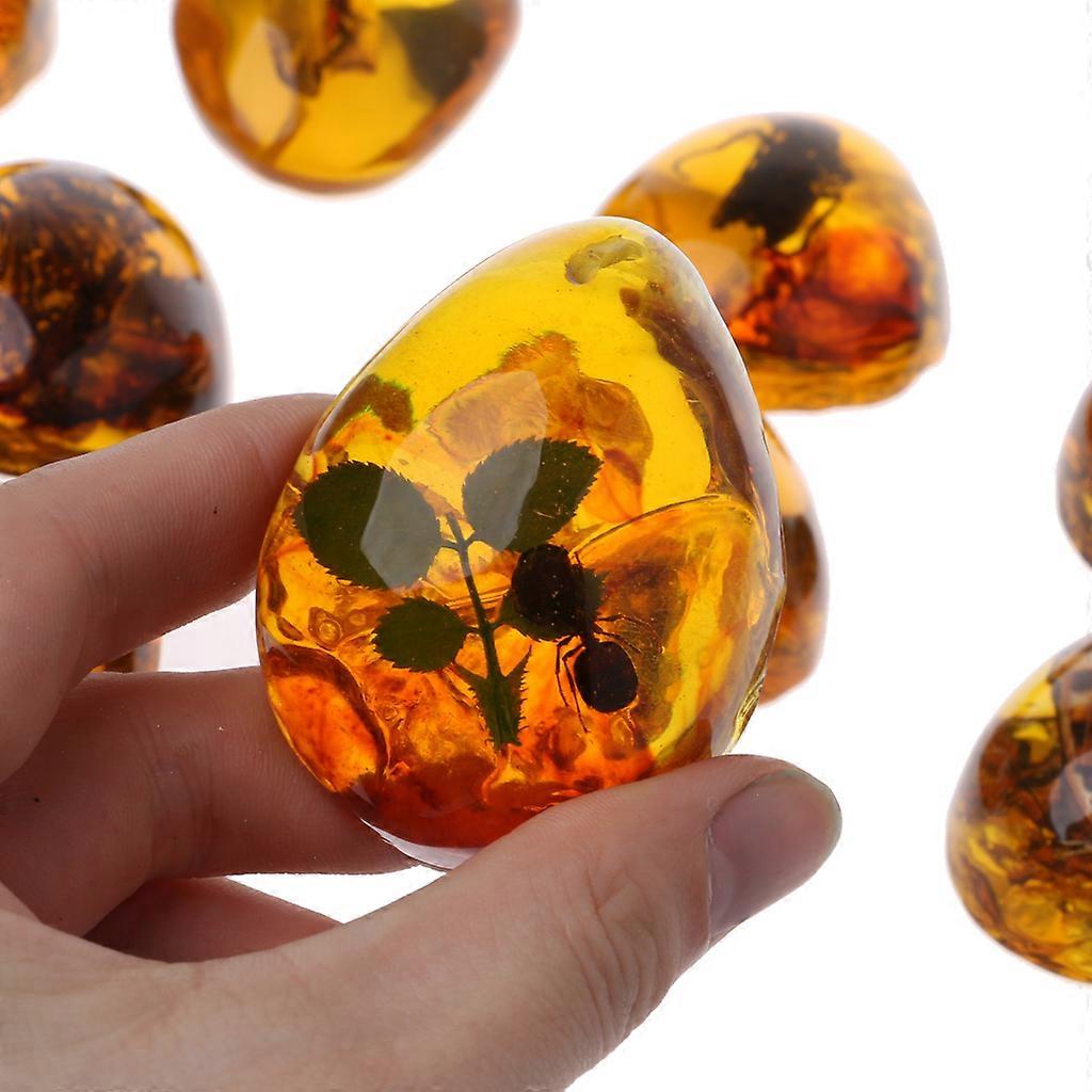 Animals Amber for Butterfly Insects Stone Pendant Necklace Gemstone for ...