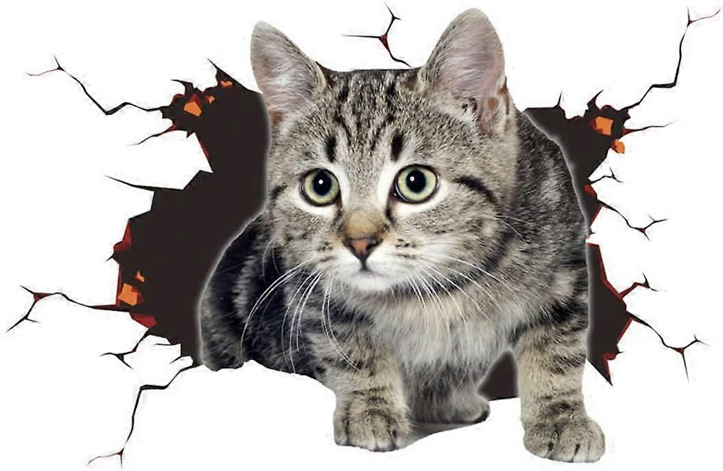 Car stickers, 3D car stickers, cat car stickers, cat stickers | Fruugo UK