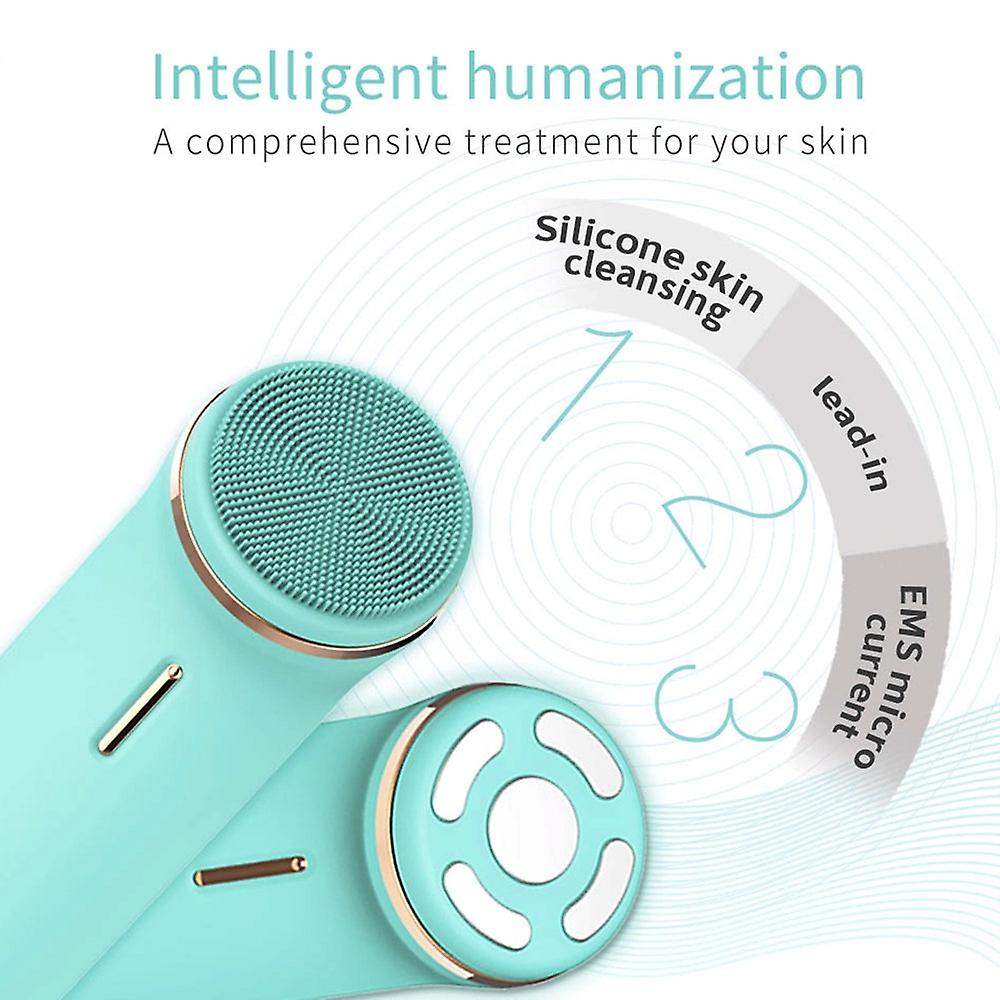 Sonic Facial Skin Cleansing Brush Ultrasonic Face Cleaner Ems Micro ...