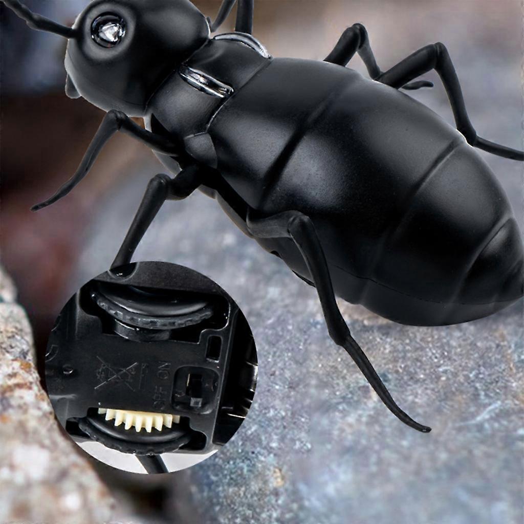 RC Animal Remote Control Ants Realistic Large Ants Insect Car Kids ...