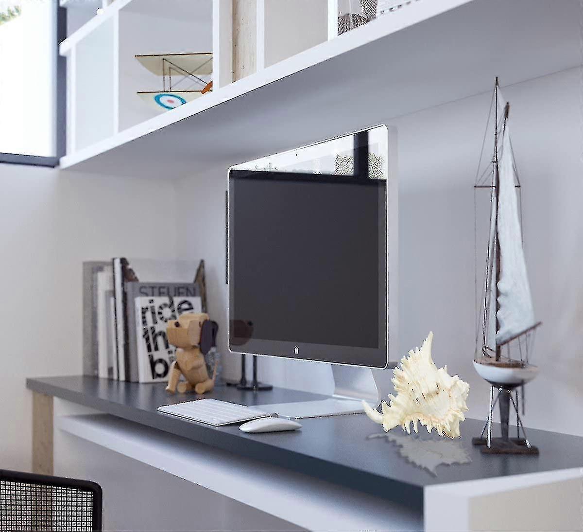 Large Natural Sea Shells, Huge Ocean Conch 7-8 Inches Jumbo Seashells ...