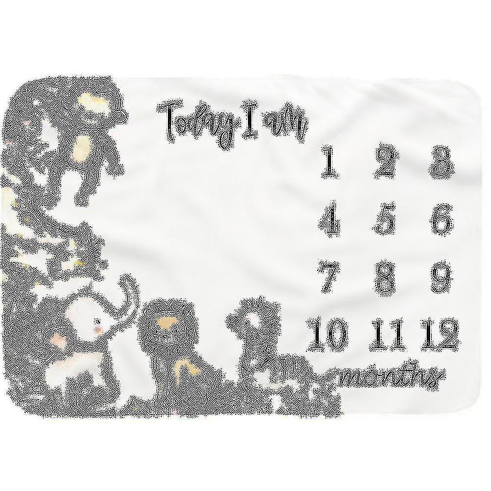 Baby Monthly Milestone Flannel Blanket Newborn Photo Mat Photography ...