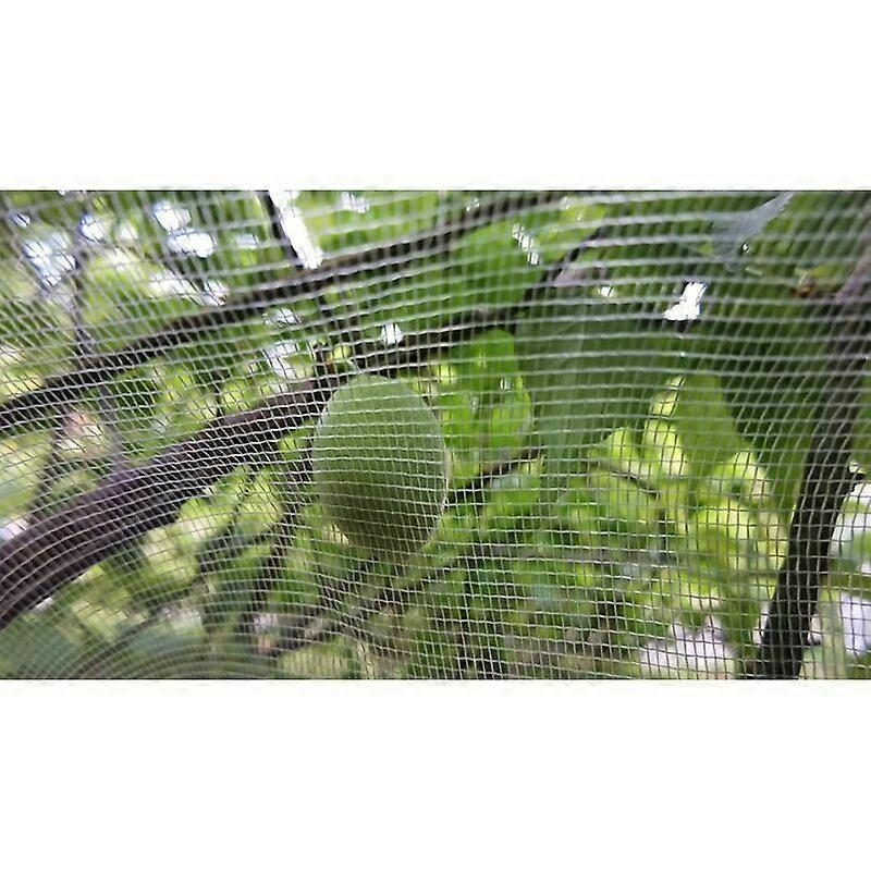 Fruit Tree Netting 1.8m X 1.8m, Plant Insect Netting, Fine Mesh Insect ...