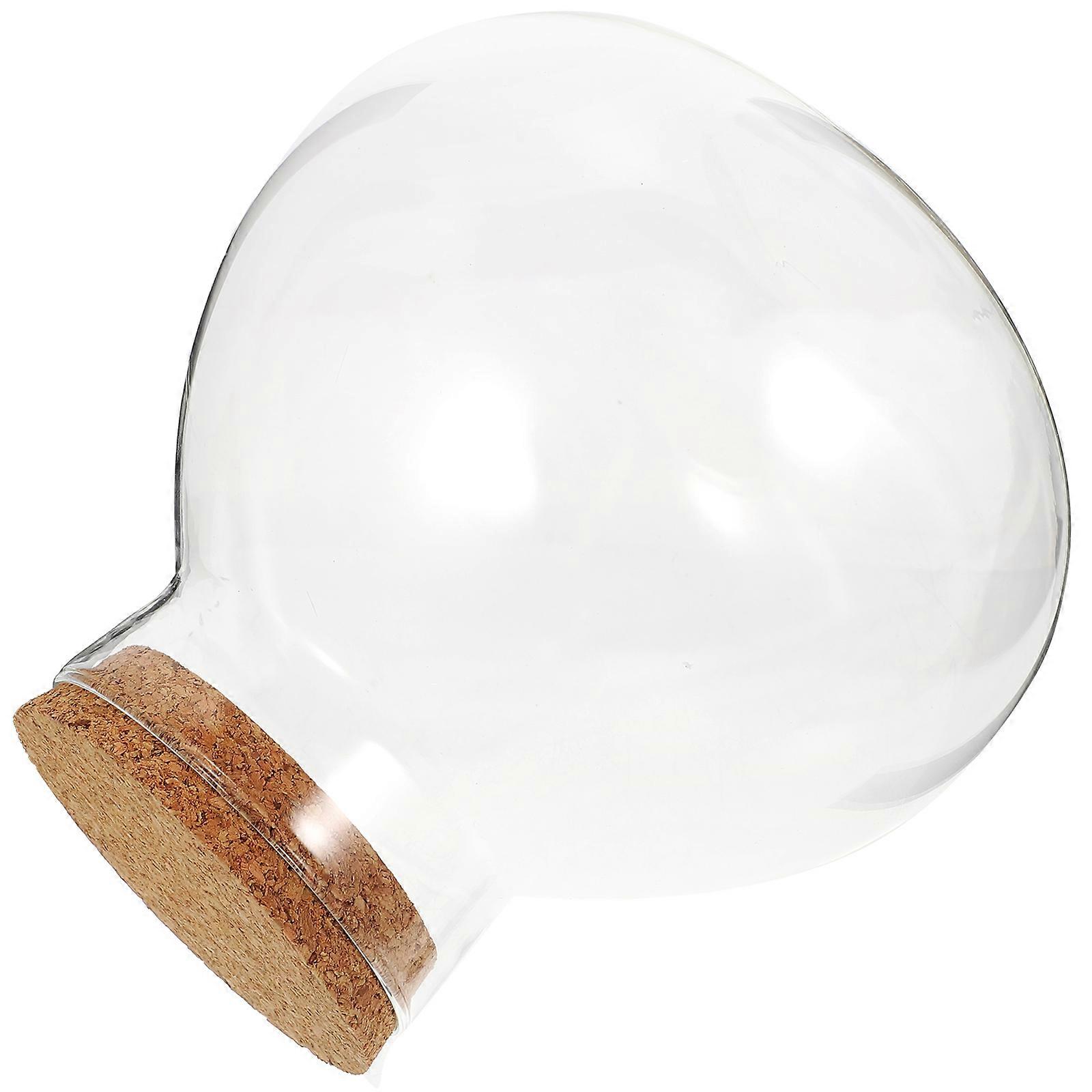 Round Glass Vase Glass Floral Vase Glass Plant Container Flower Vase ...