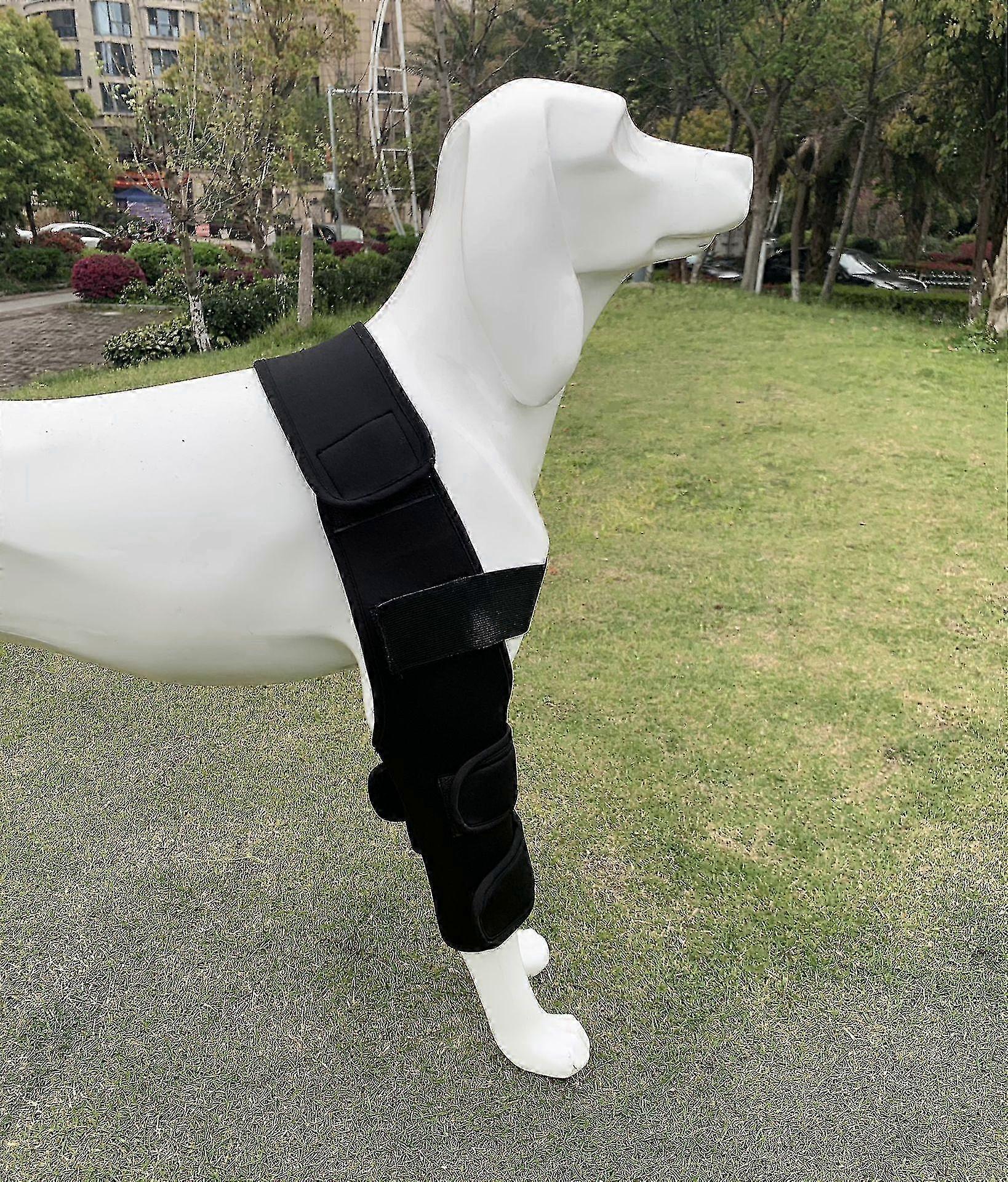 Surgical Joint Wrap for Dog Canine Front Leg Injuries with Leg Brace ...