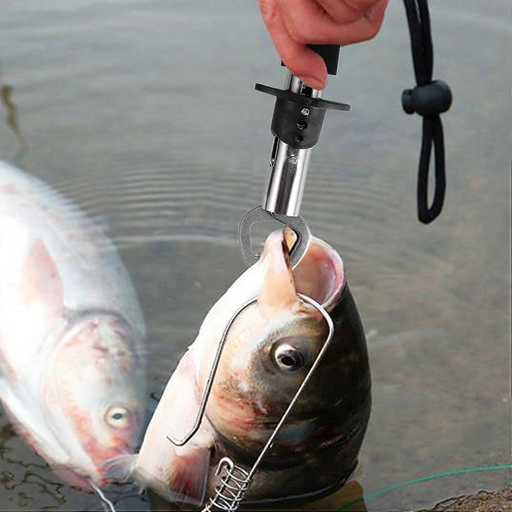 Fish Hook Remover Tools,Handheld Digital Fish Scale Squeeze-Out Fish ...