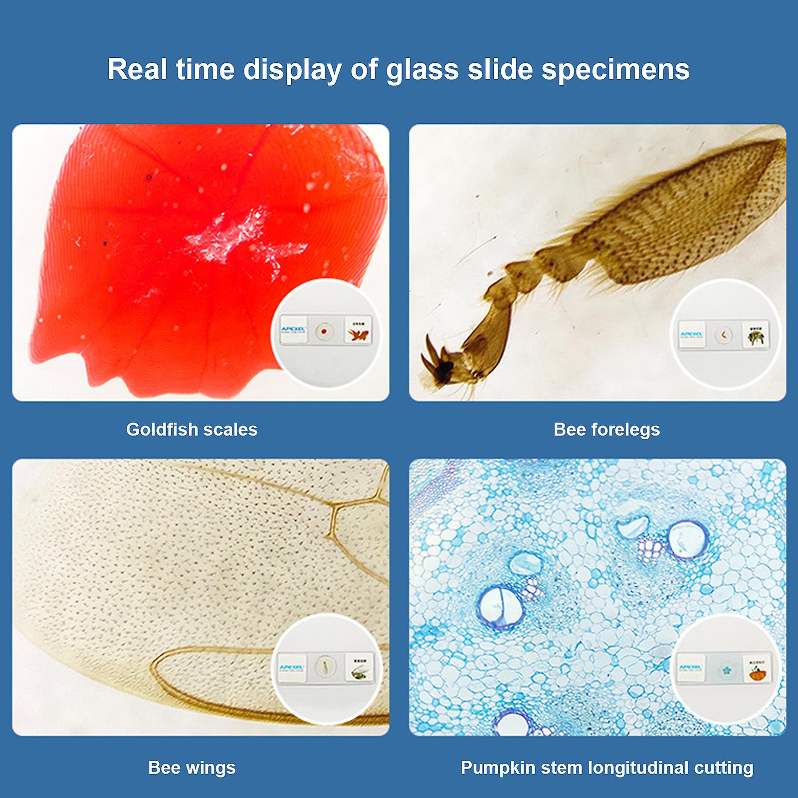 200x Magnification Zoom,Nano Zoom 200x,Nano Zoom For iPhone,Nanozoom ...