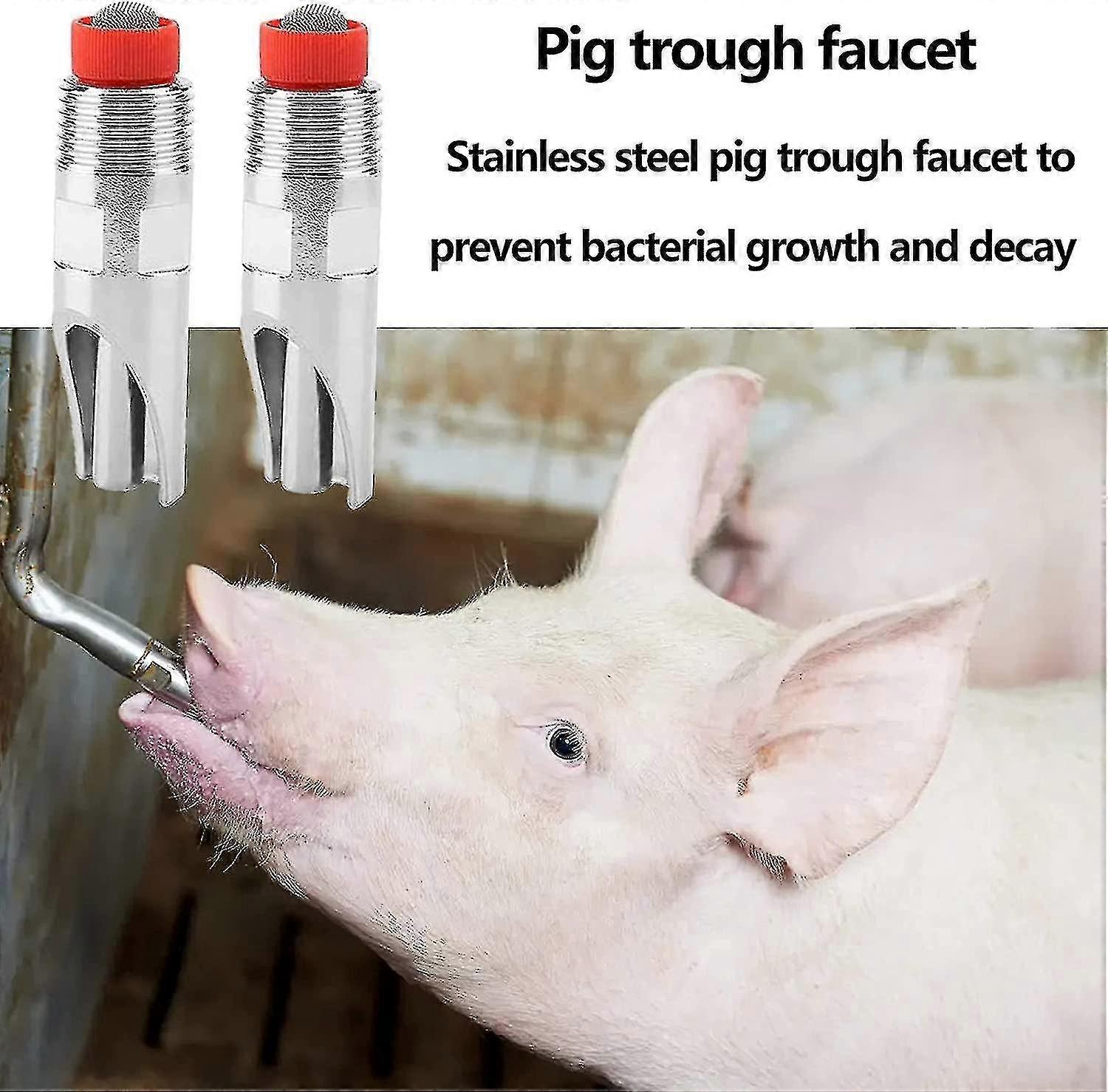 Stainless Steel Pig Waterer Automatic Pig Waterers 6pcs Stainless Steel ...