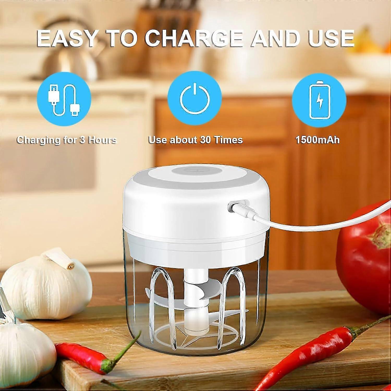 Cordless Electric Chopper, Mini Food Processor, 250ml, Easy To Clean ...