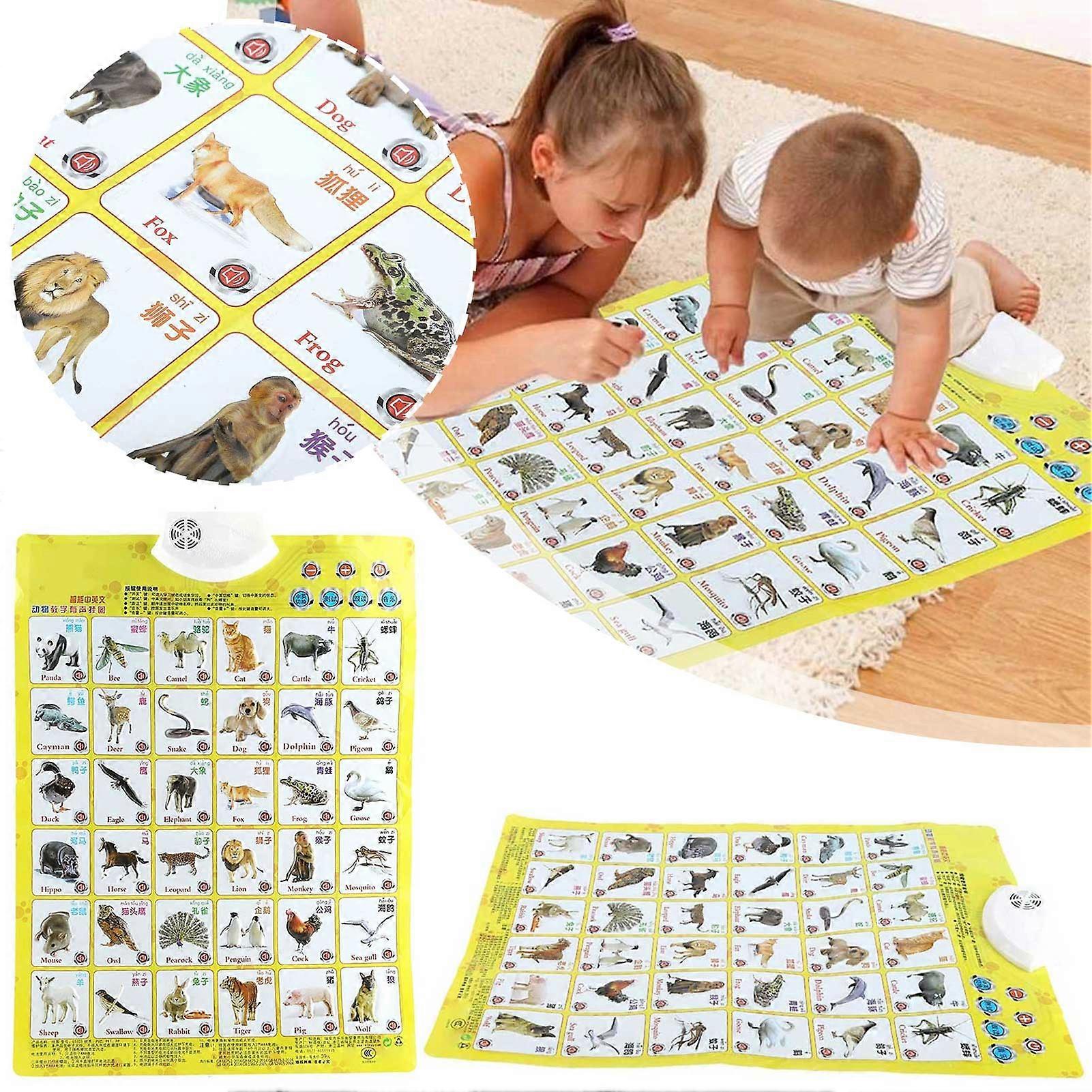 Educational Learning Wall Chart for Kids Educational Wall Chart for ...
