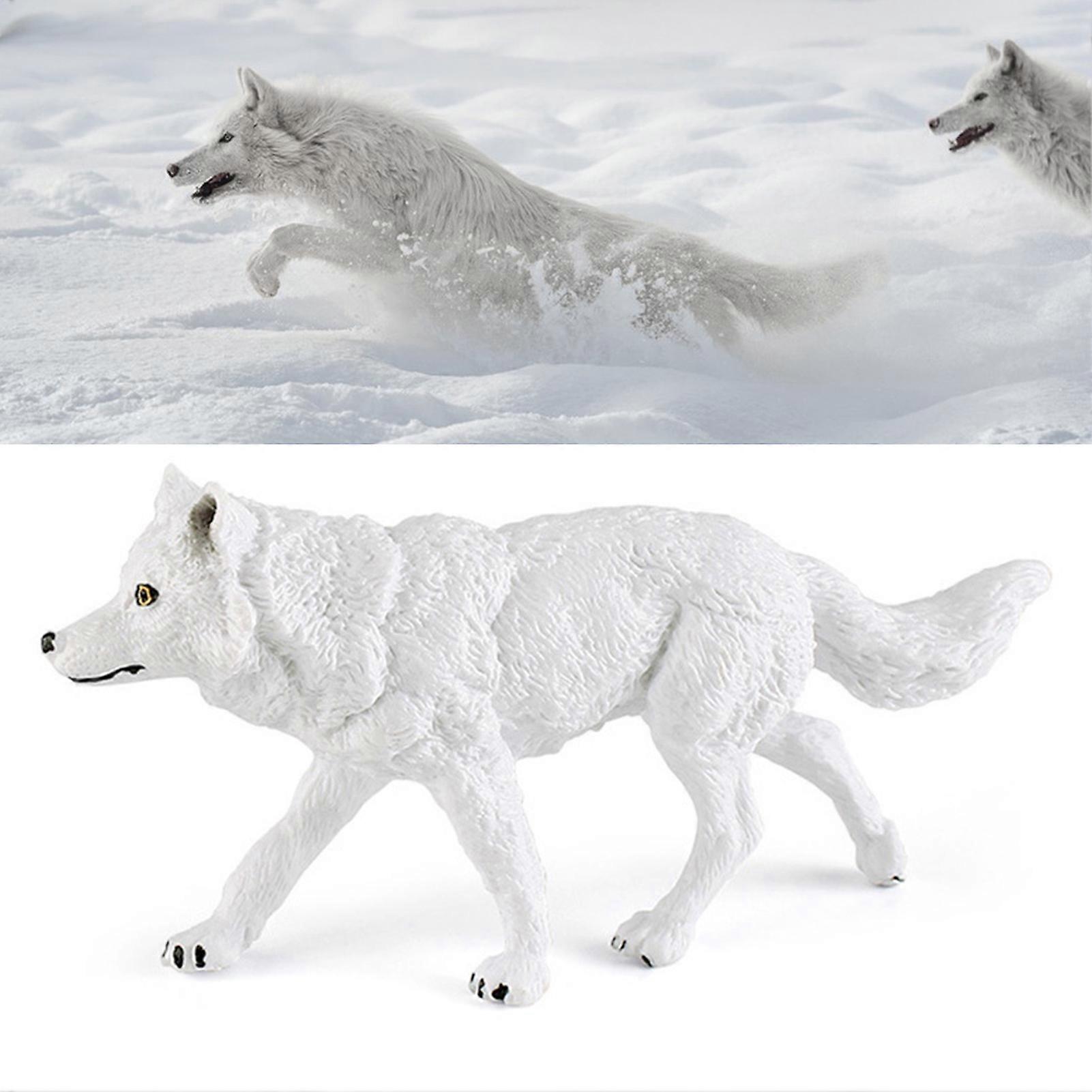 Arctic Wolf Model Various White Wolf Miniature Static Model Ornament ...