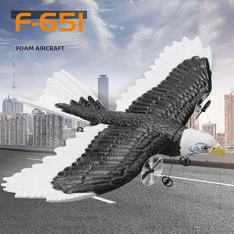 RC Plane Wingspan Eagle Bionic Aircraft Fighter 2.4G Radio Remote ...