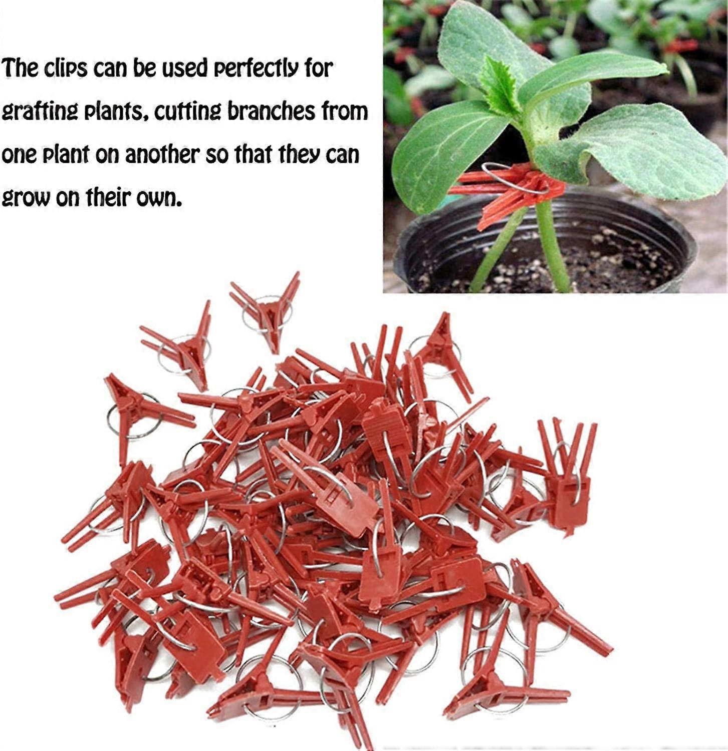 50PCS Plant Support Clips/Plant Vine Vegetable Clip Holder Grafting ...
