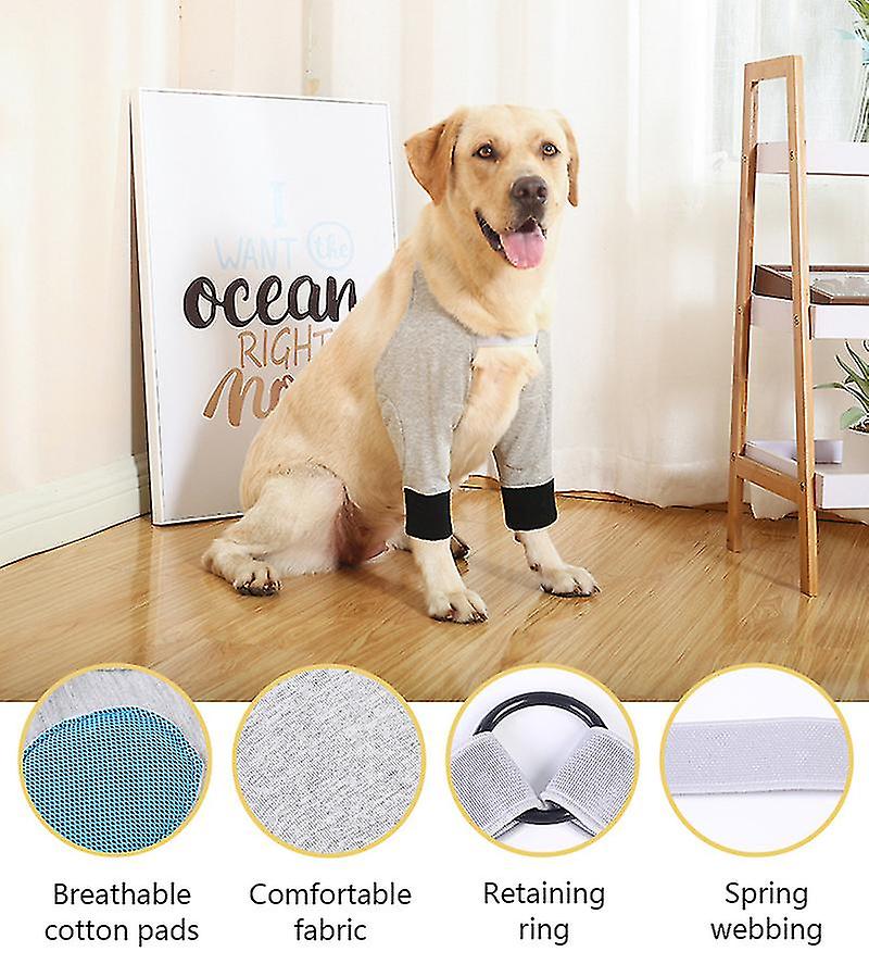 Hund främre benstöd Hund armbågsskydd Stödremmar för läker skyddar mot ...