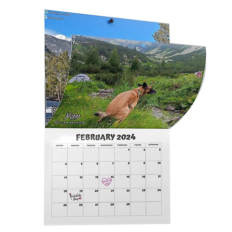 2024 Funny Dog Pooping Wall Calendar Unique Calendar Gift For Friends ...