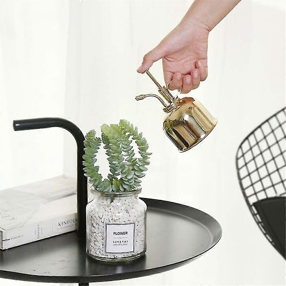 300ml Copper Plant Flower Watering Can Pots Spray Bottle Garden Mister ...