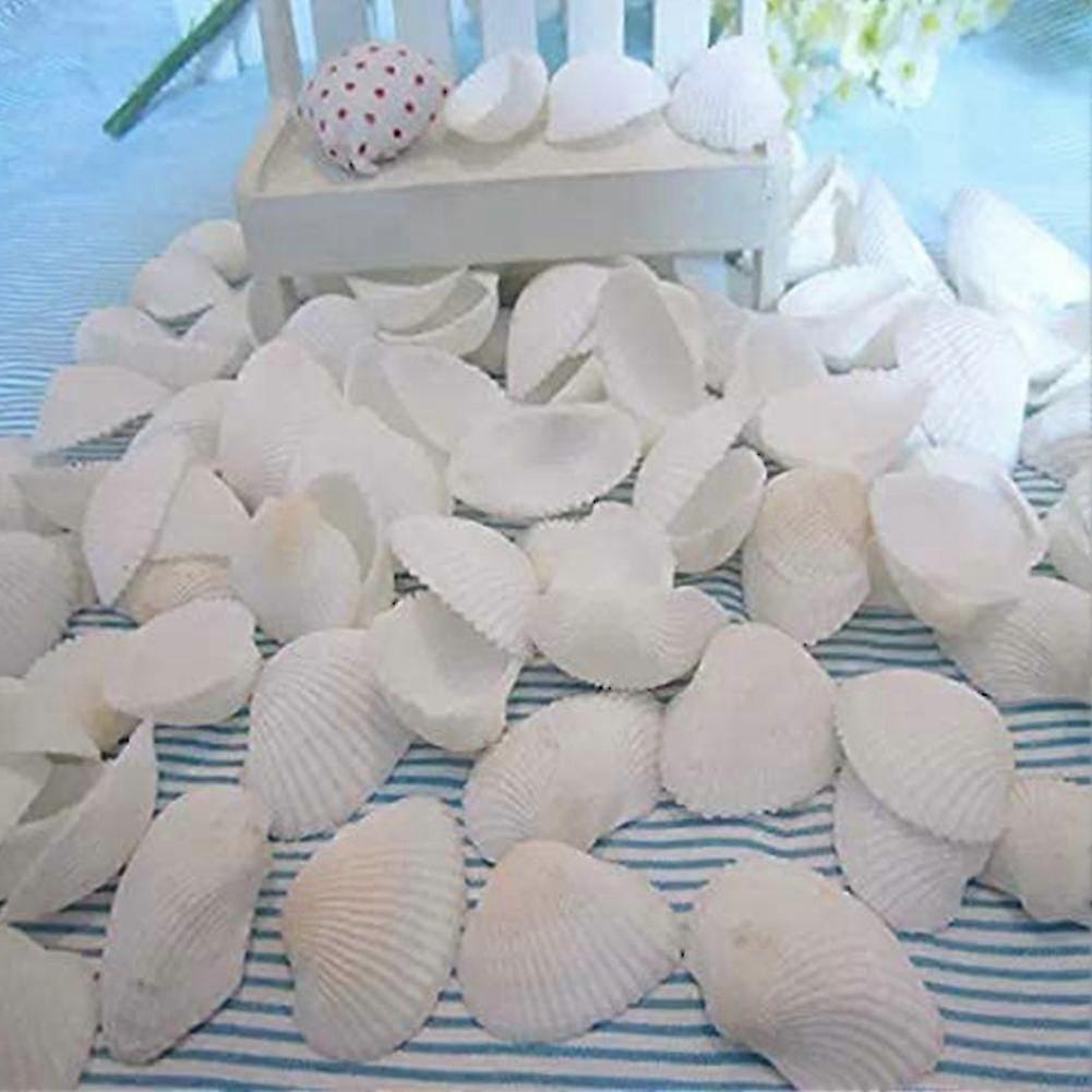25pcs Natural Scallop Shell, For Handmade Diy Production Handmade Diy Coloring Shell | Fruugo UK