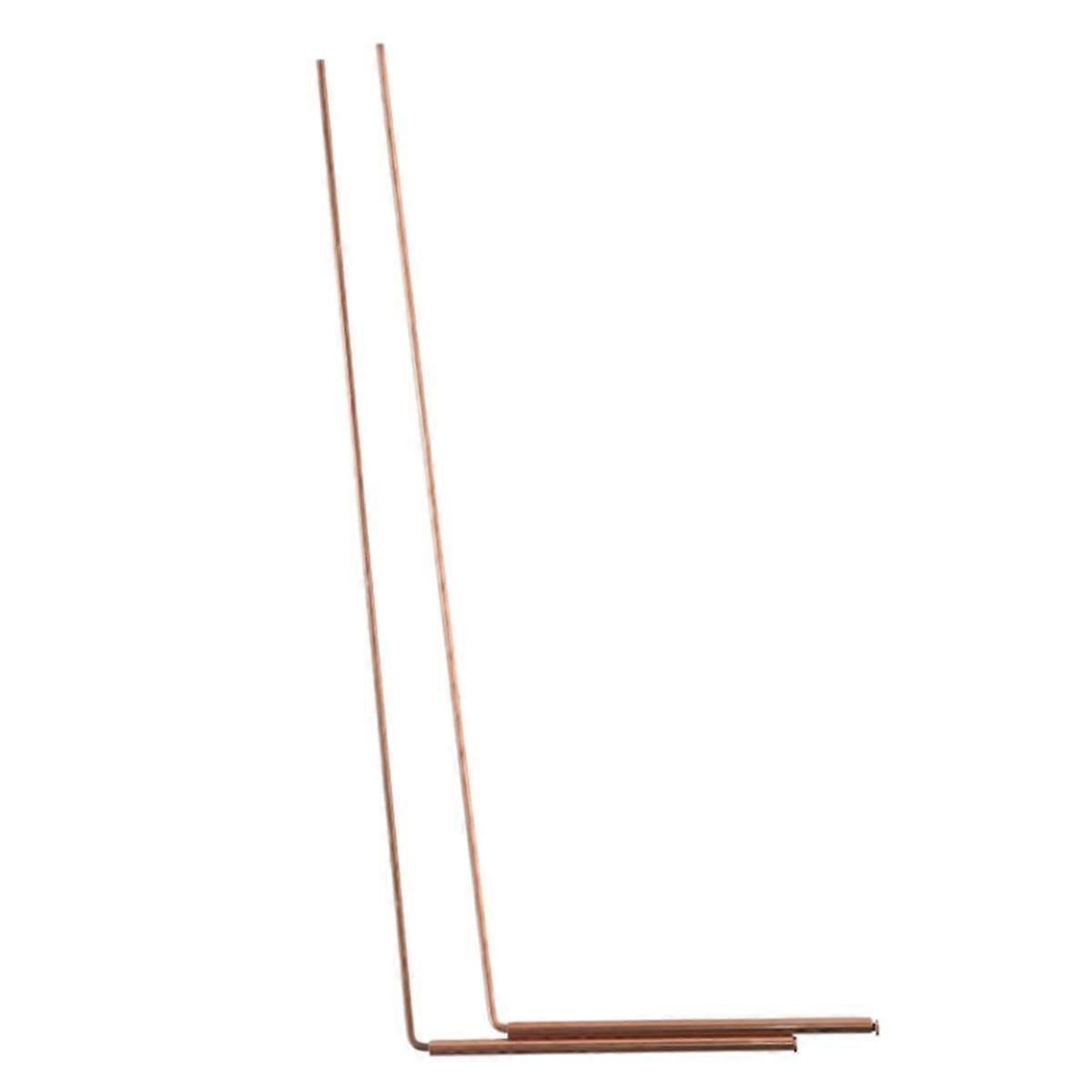 2pcs Pure Copper Metal Detector Rod Water Witching Portable Dragon ...