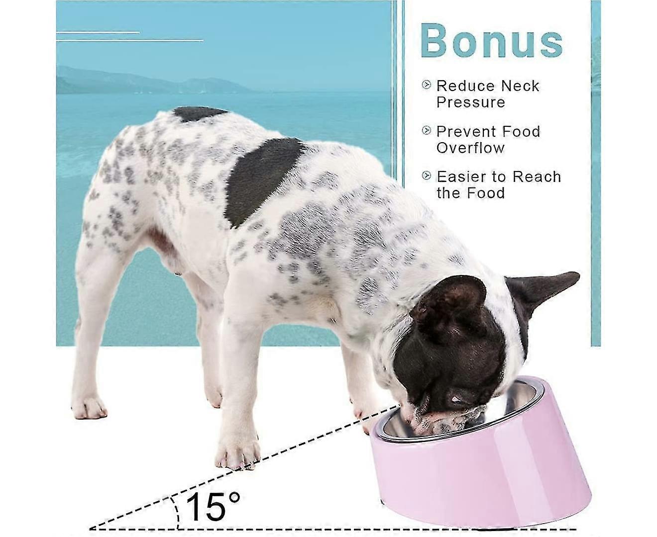 Slanted Bowl For Dogs And Cats, Tilted Angle Bulldog Bowl, Pink, M ...