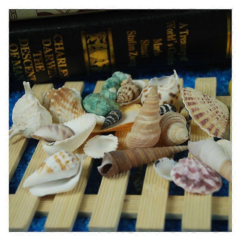 Mixed shell and conch bags, aquarium landscaping, aquarium decoration ...