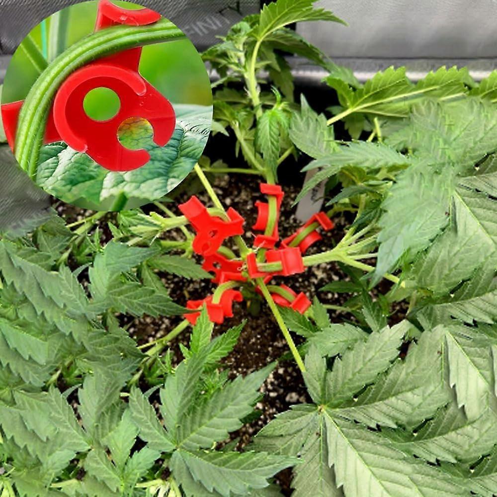 40 Pcs Low Stress Training Clips, 90 Degrees Plant Trainer Bud Plant ...