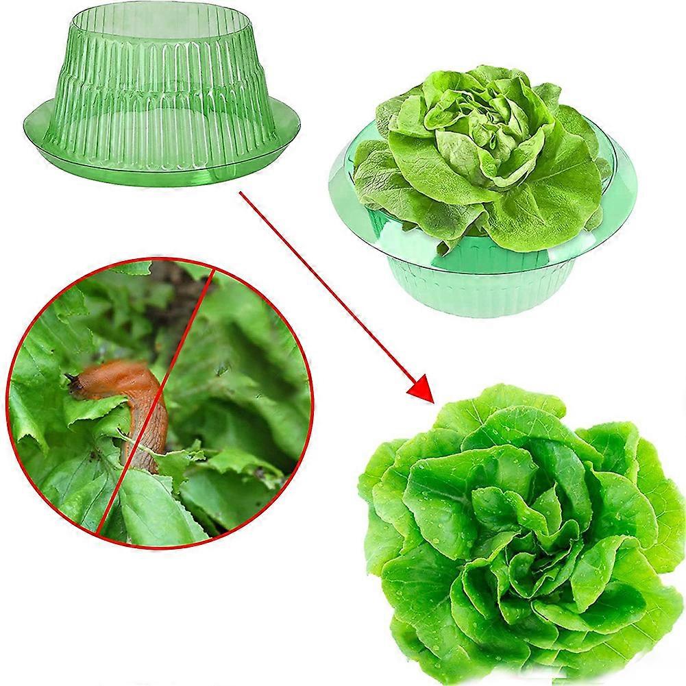 6pcs slug protection vegetable plant cover snail collar garden guard ...