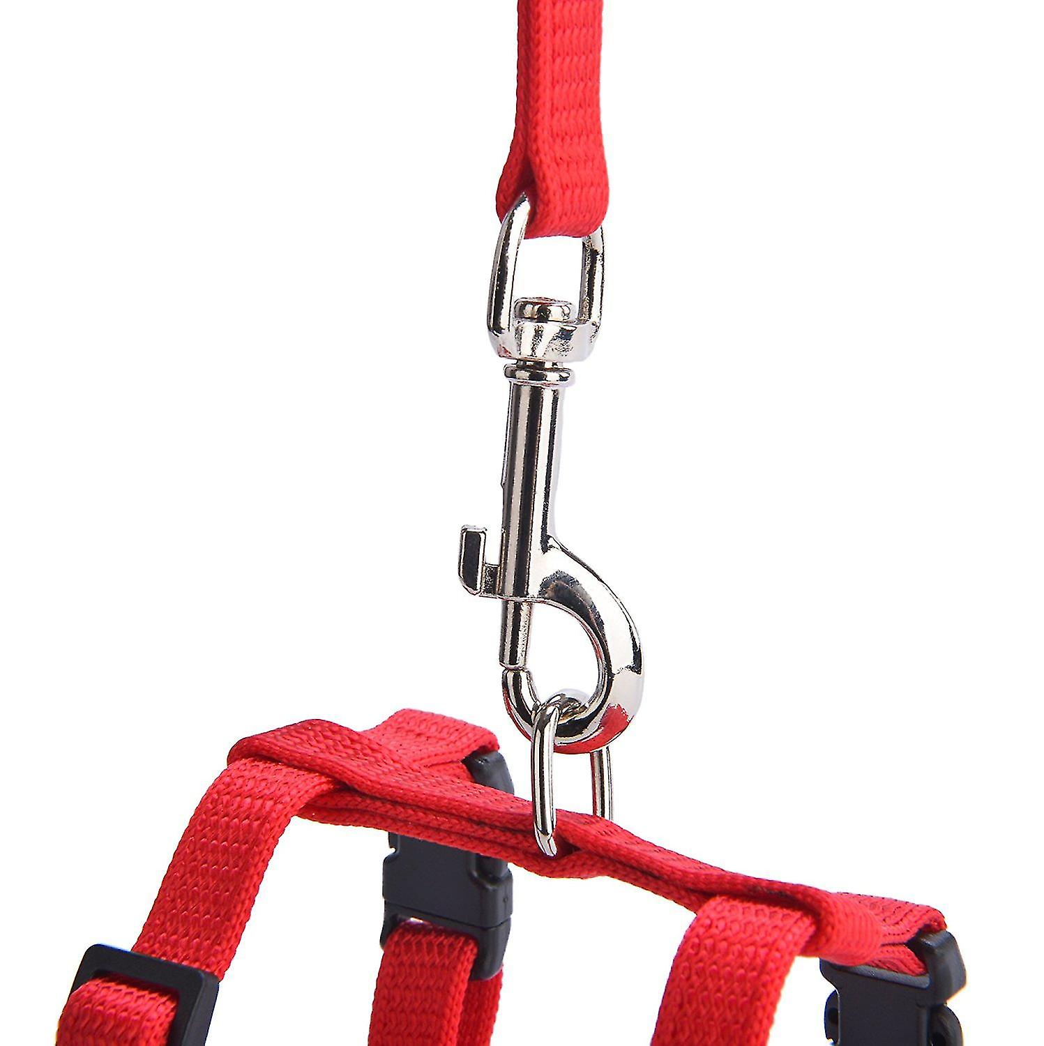 New Cat Harness, Adjustable Design Nylon Strap Collar With Leash ...