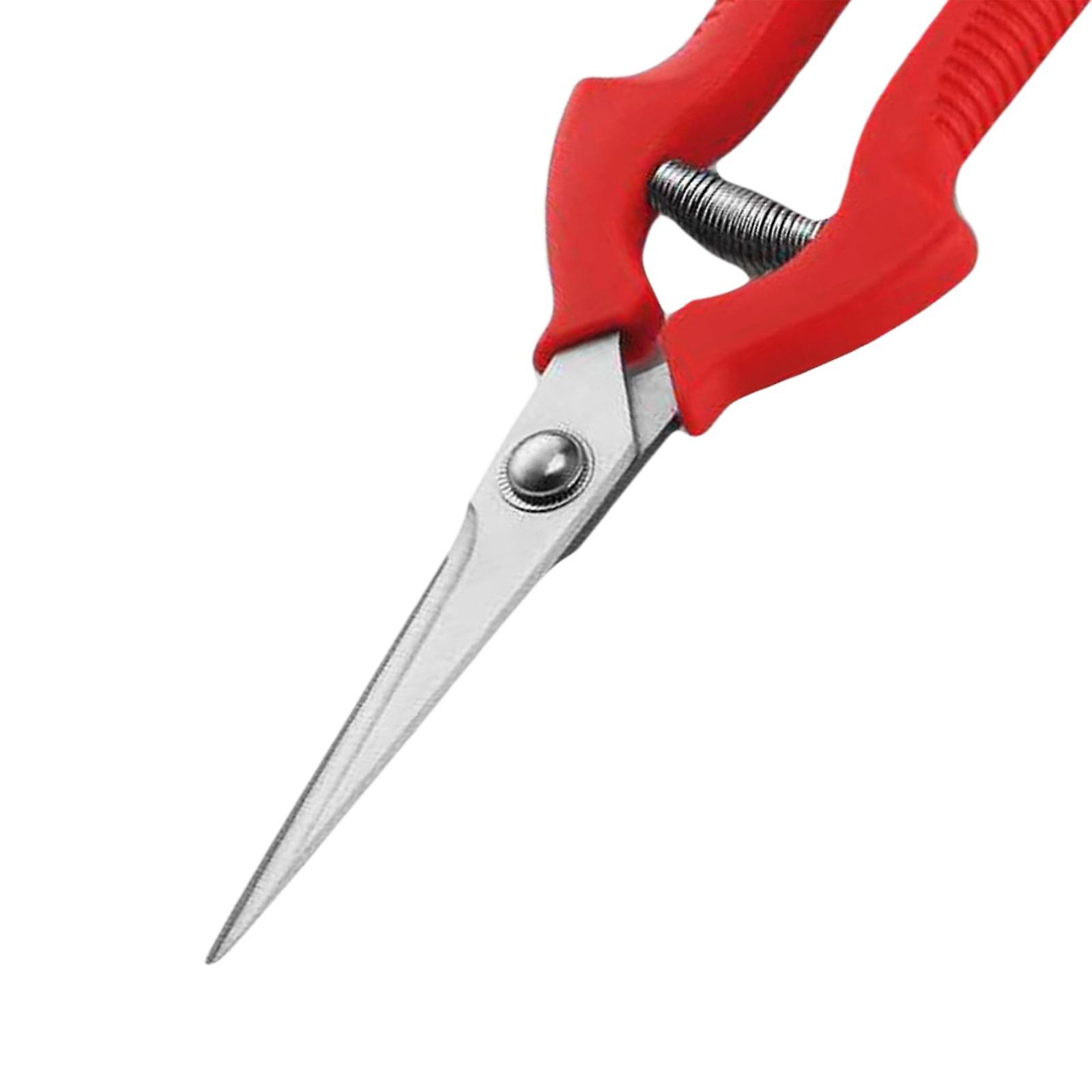 Fruit Picking Shears Scissors Fruit Picker Scissors For Garden Farm ...