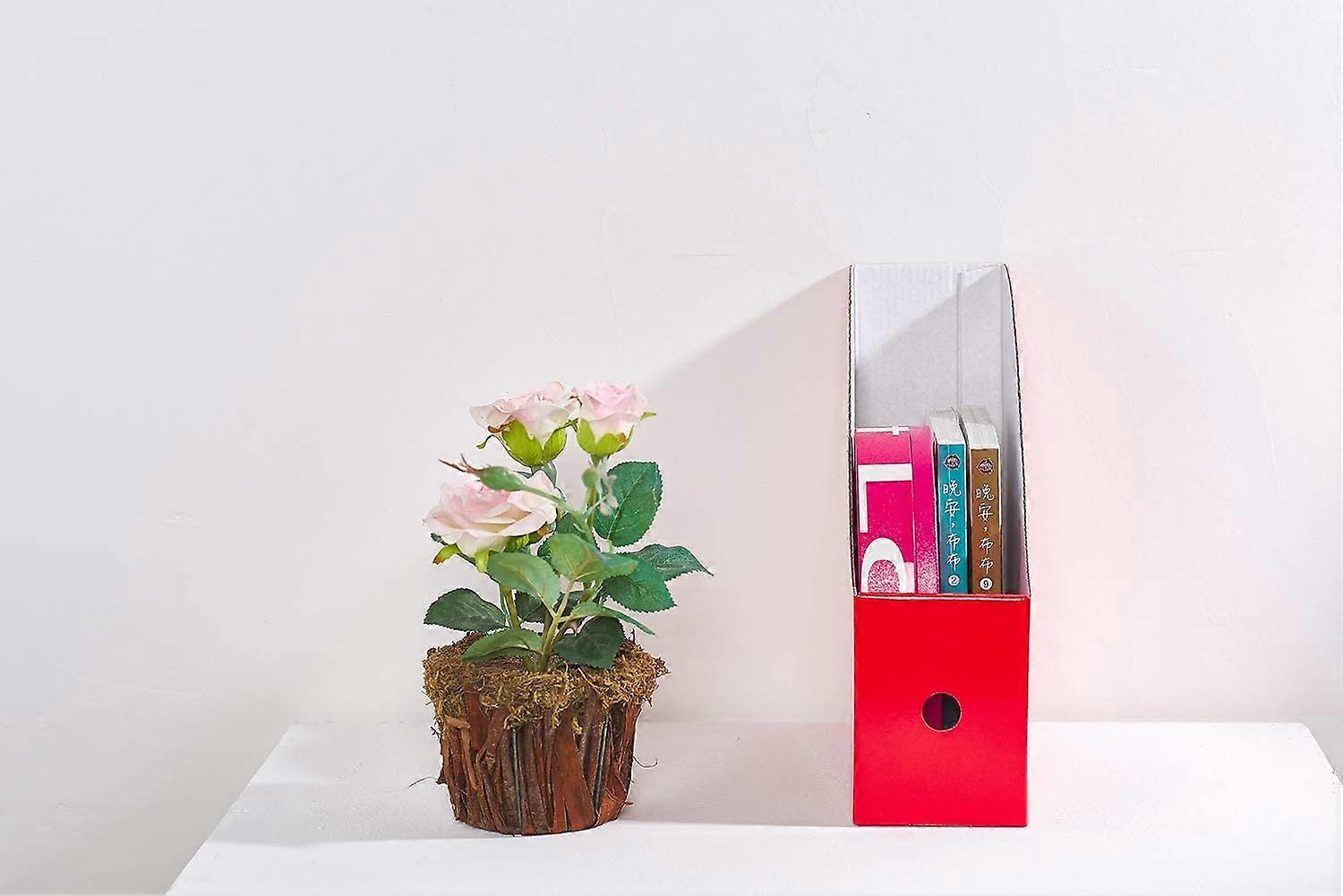 PIAO Magazine File Holder, Folder Holder, Magazine Organizer, Book Bins ...