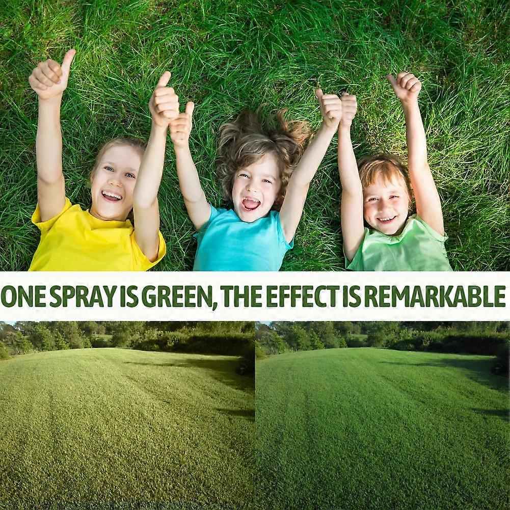 3pcs Fast Green Spray Grass and Turf Paint Environmentally Friendly Pet ...