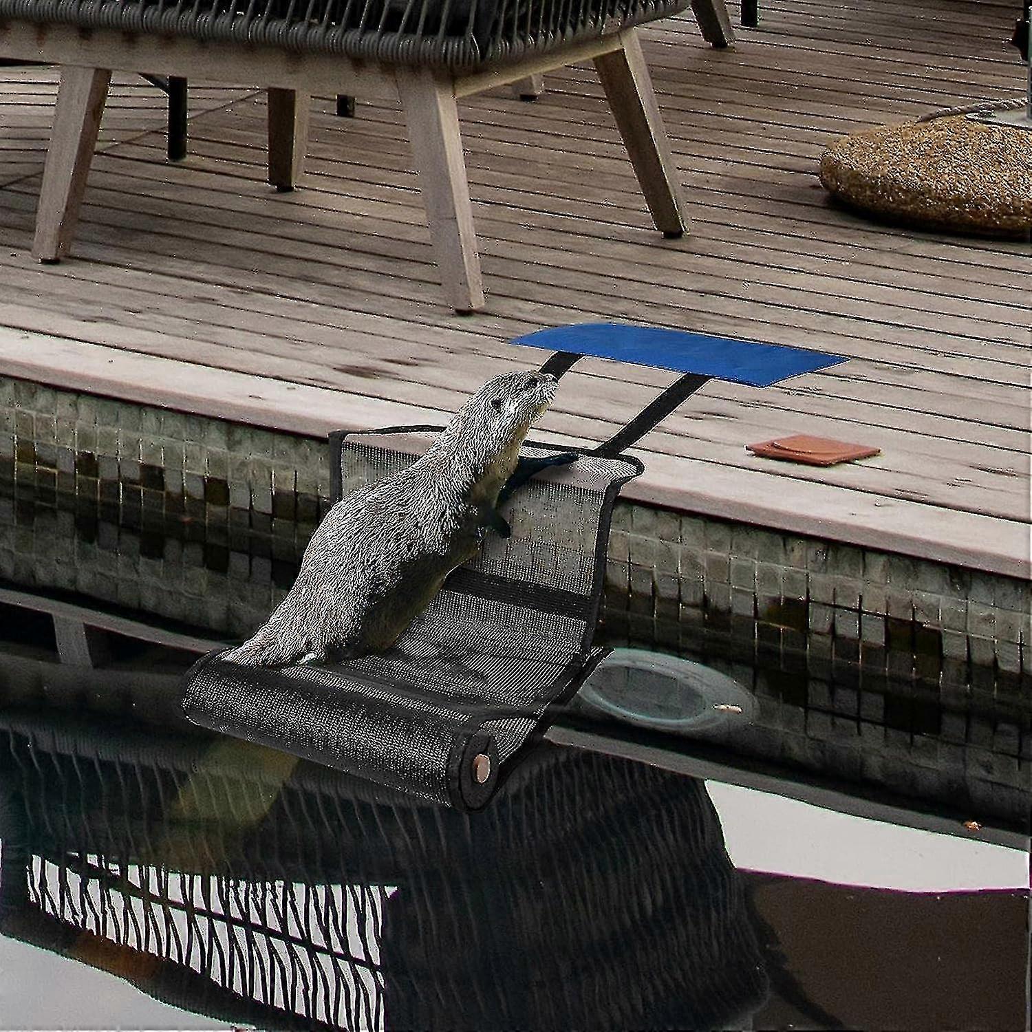 Animal Escape Ramp For Pool, Floating Ramp Rescues, Pool Escape Ramp ...