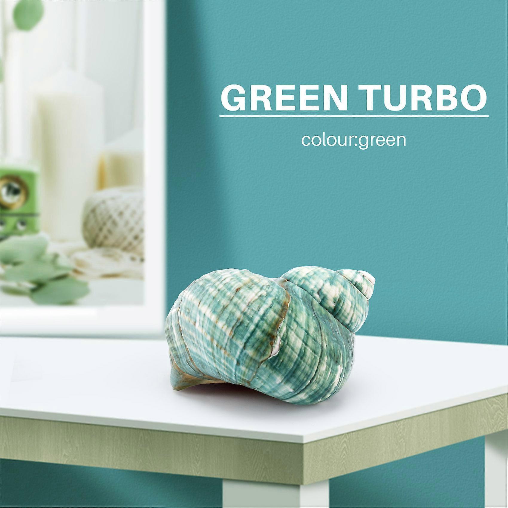 10CM Green Turbo Natural Rare Real Sea Shell Conch Stunning Healing ...