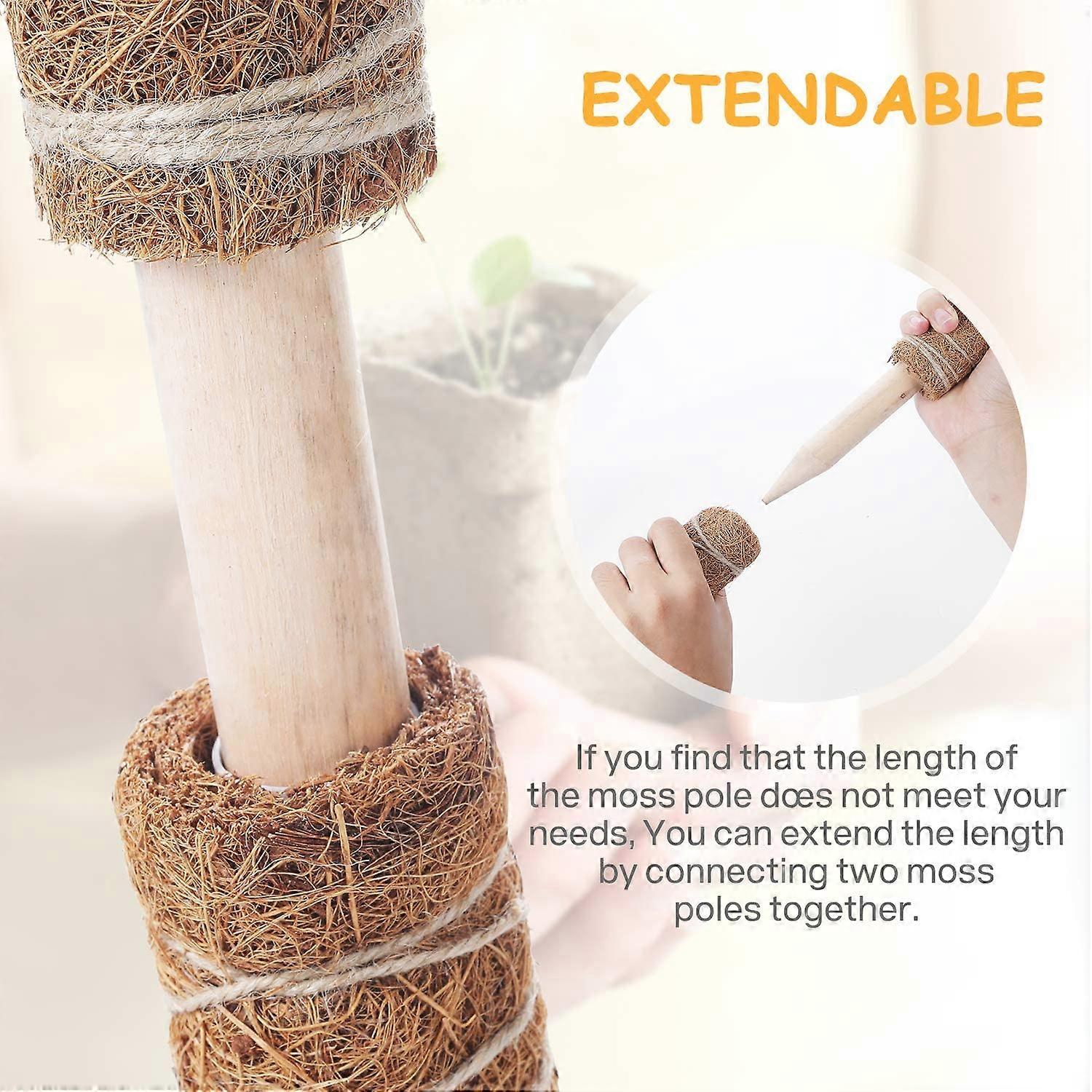 Moss stick, 2 pieces 40 cm Monstera climbing aid, extendable Natural ...
