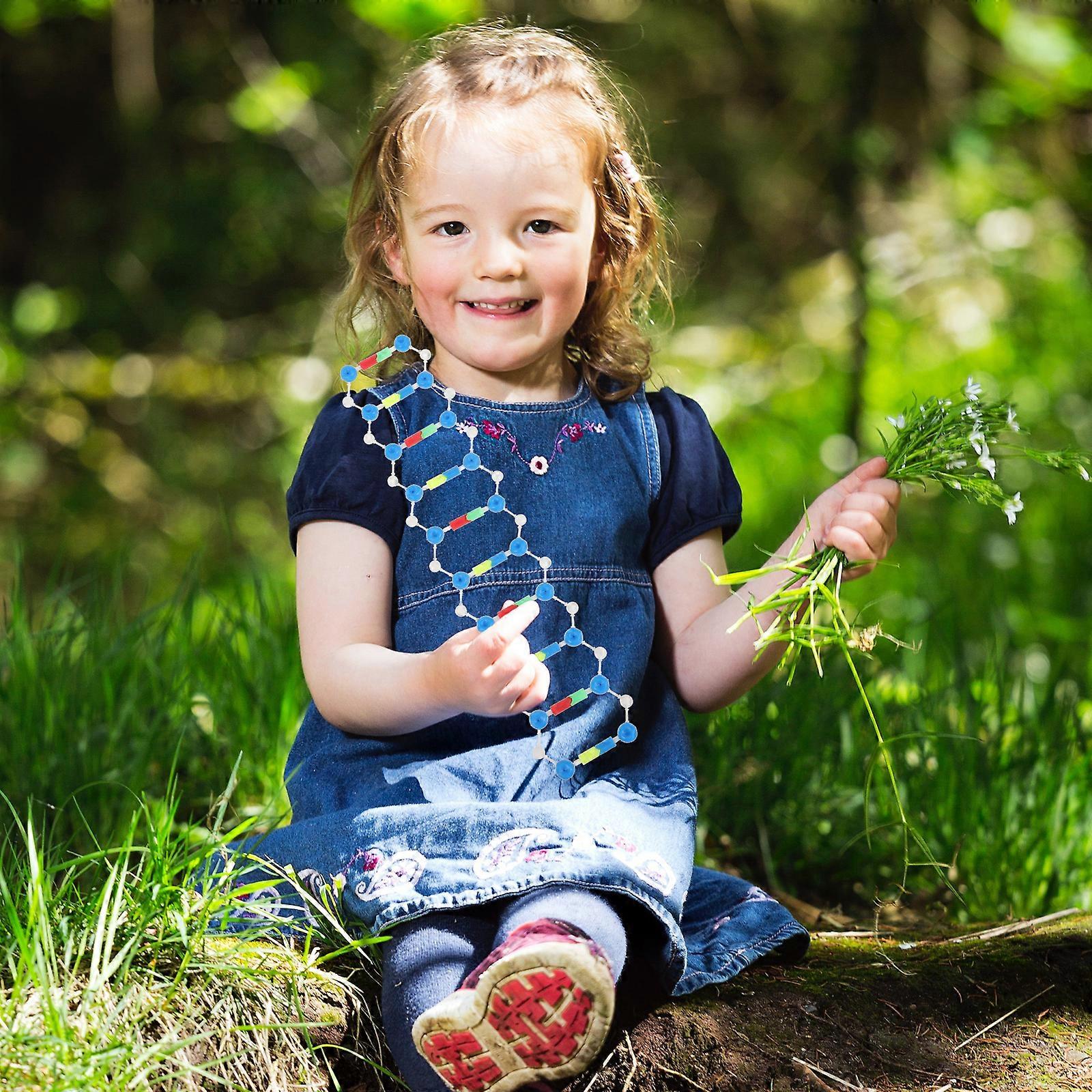 Double Helix Dna Model Science Teaching Aids for Students Educational ...