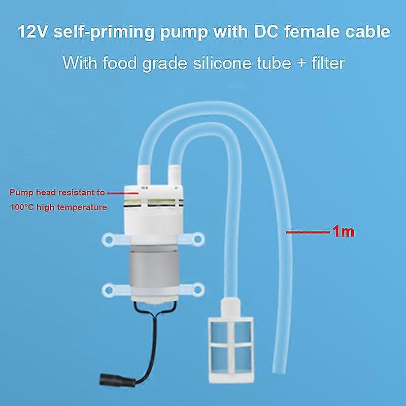 Dc 12v Water Pump Resistant To High Temperature Hot Water Boiling Water ...