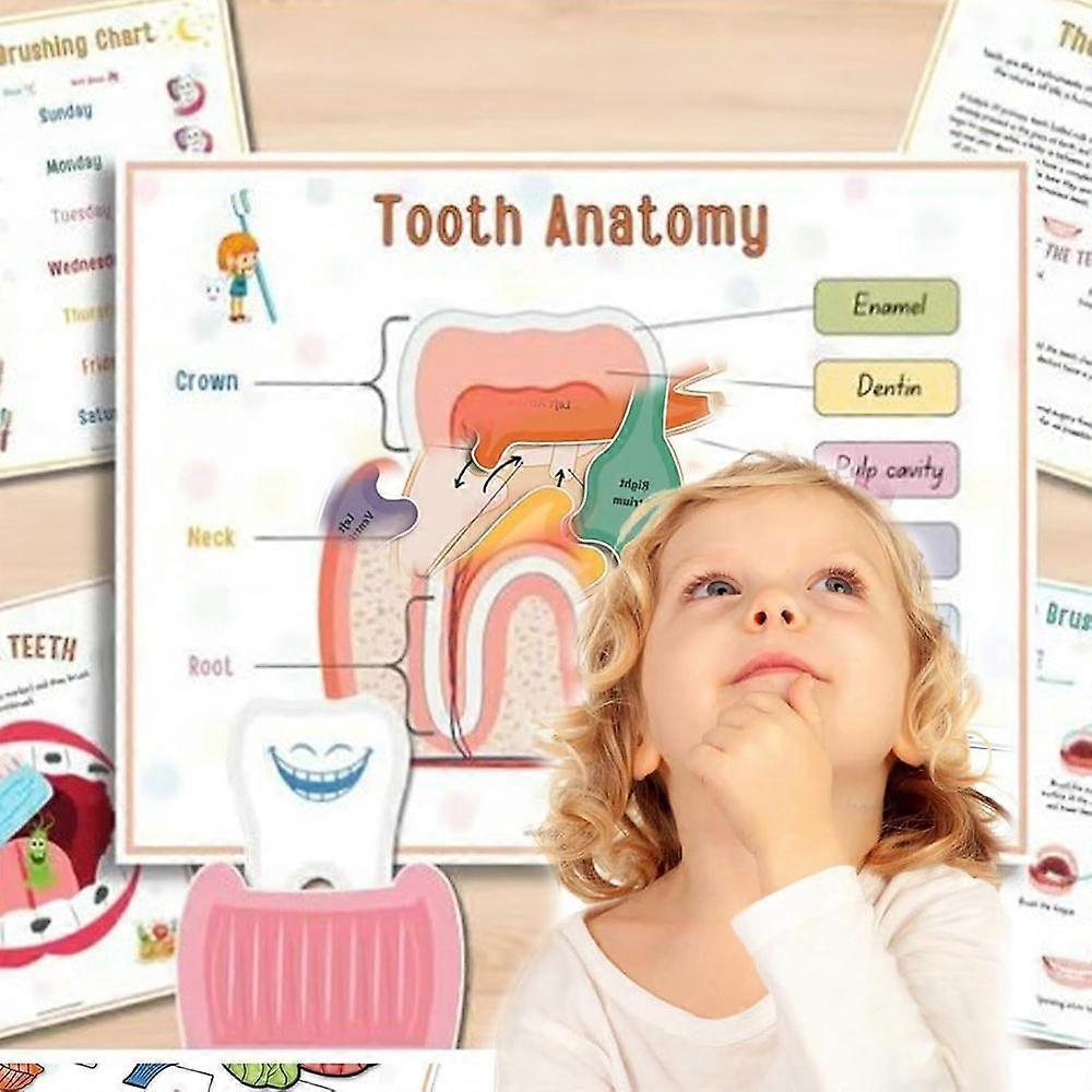 Body Learning Book, Human Anatomy Busy Book, Human Body Anatomy Busy ...